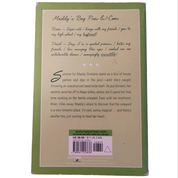 Accents | Bundle Only The Other Boy By Hailey Abbott Soft Cover Book ...
